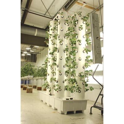 Vertical Aeroponic Systems | Gothic Arch Greenhouses|Gothic Arch ...