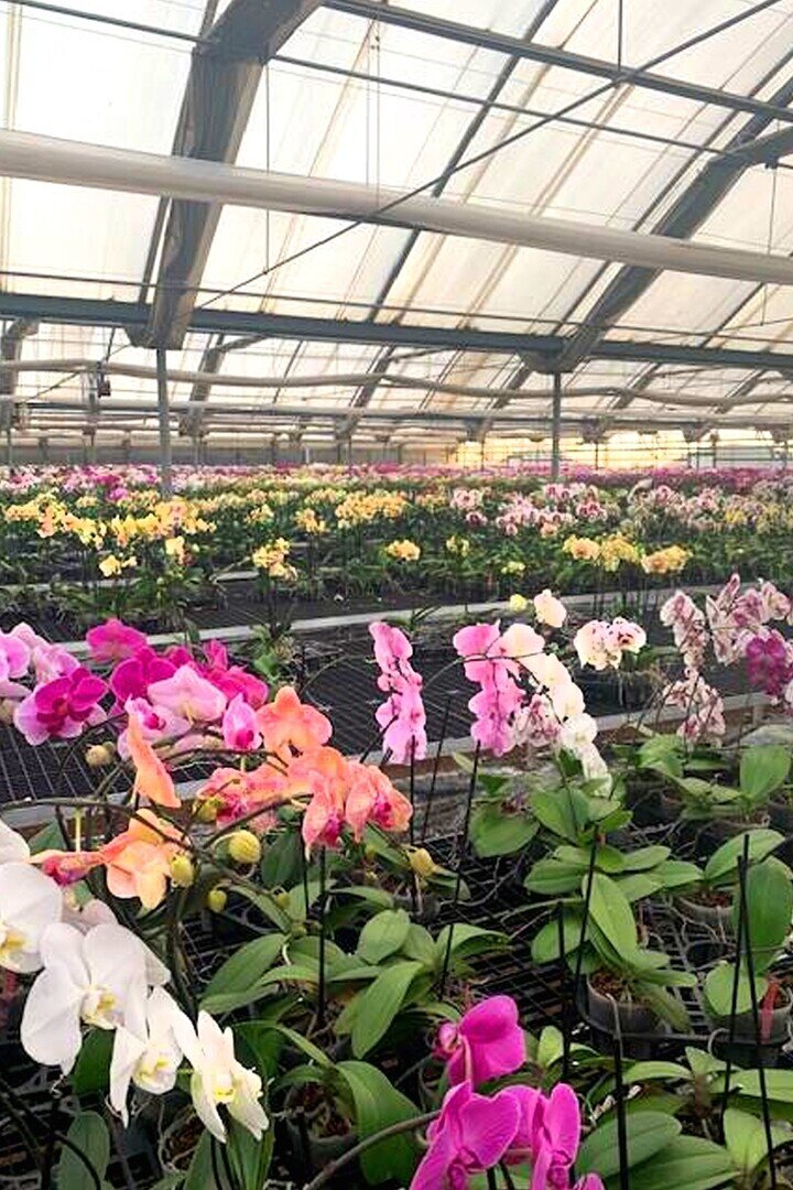 24" W X 48 " L DURA-BENCH ULTRA PLASTIC NURSERY BENCHTOP - Gothic Arch ...