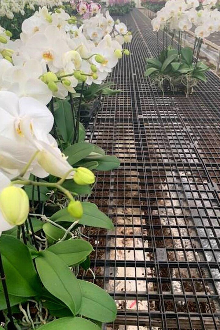 24" W X 48 " L DURA-BENCH ULTRA PLASTIC NURSERY BENCHTOP - Gothic Arch ...