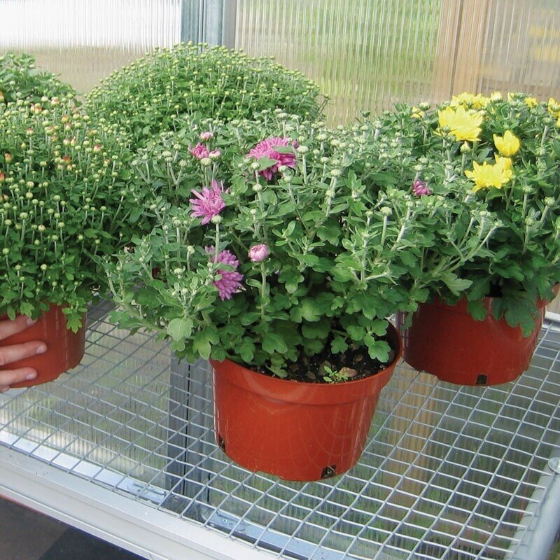 14 Gauge Galvanized Wire Mesh Rolls - Gothic Arch Greenhouses|Gothic ...