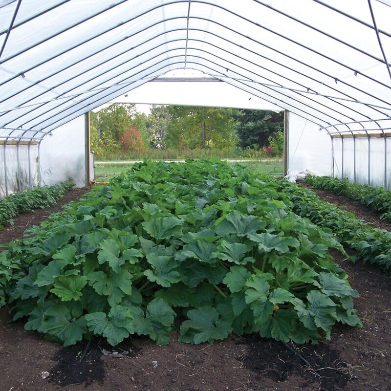 Gothic Max High Tunnels & Hoop Houses - Gothic Arch Greenhouses|Gothic ...
