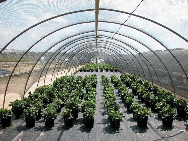 Round Cold Frames - Gothic Arch Greenhouses|Gothic Arch Greenhouses