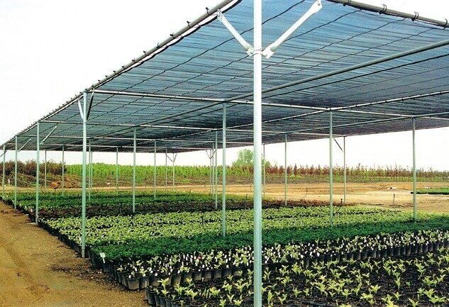 Shade Houses - Gothic Arch Greenhouses|Gothic Arch Greenhouses