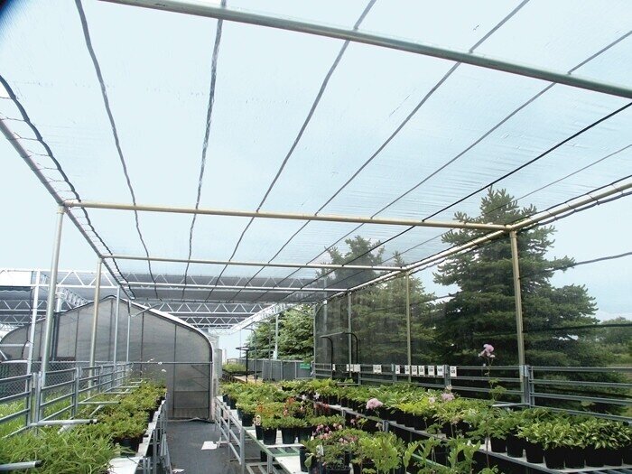 Shade Houses - Gothic Arch Greenhouses|Gothic Arch Greenhouses