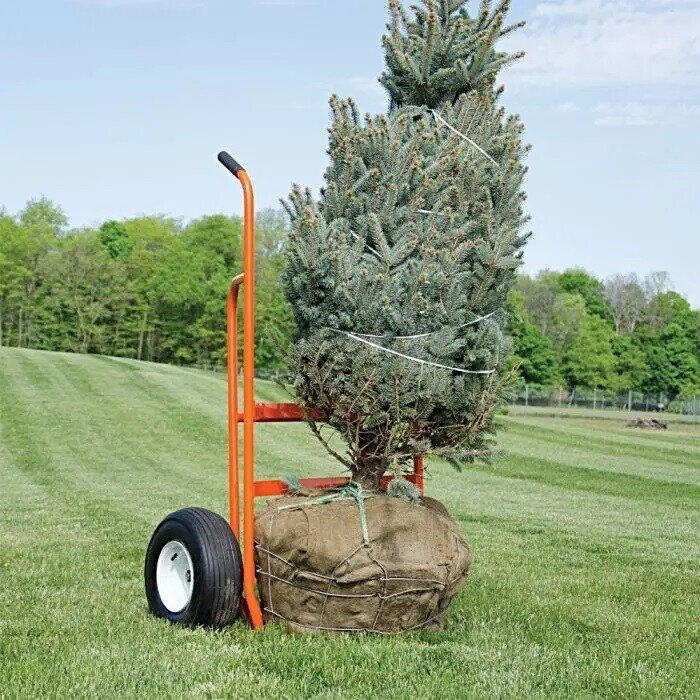 Nursery and Landscape Dolly with Standard Nose - Gothic Arch ...