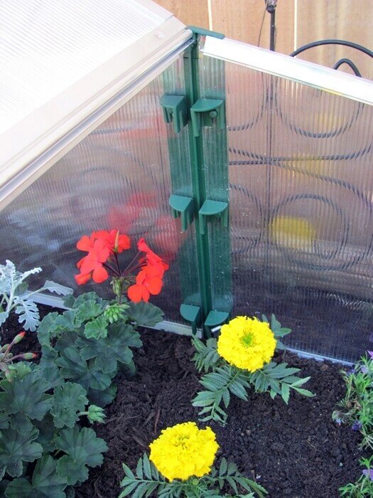 EZ Double Mini Cold Frame - Gothic Arch Greenhouses|Gothic Arch Greenhouses