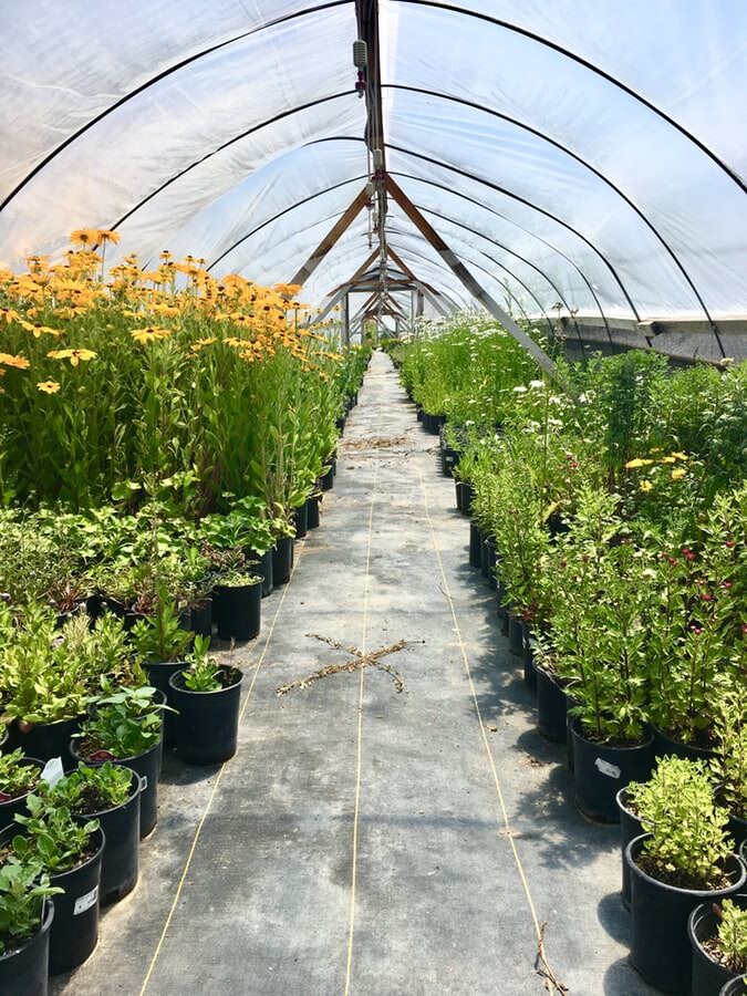 NRCS Approved High Tunnel Structures|Gothic Arch Greenhouses